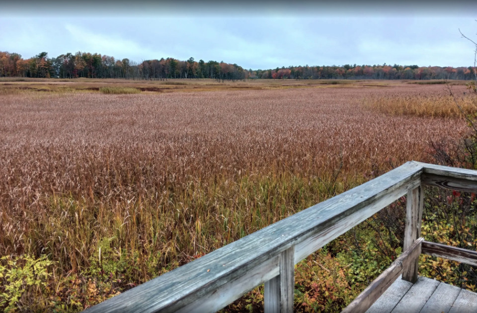 Autumn Adventures – October 10th Vacation Day Camp - Ketcha Outdoors